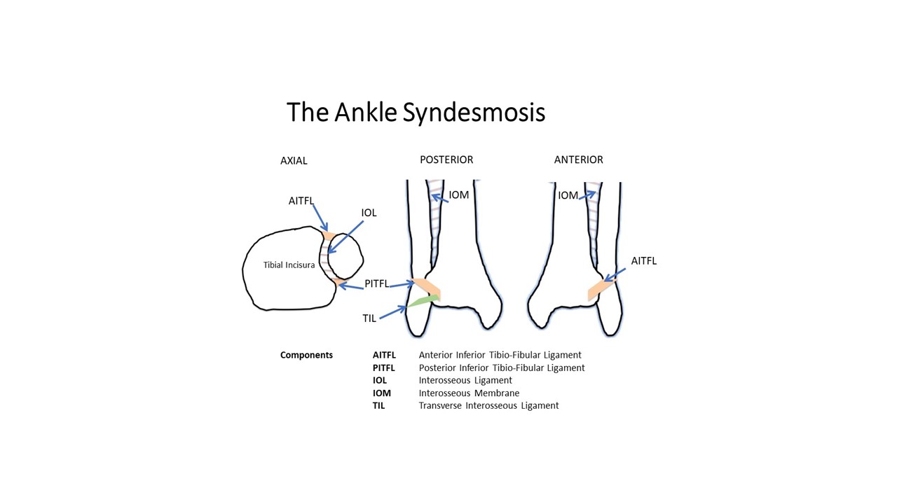 London Sports Foot And Ankle